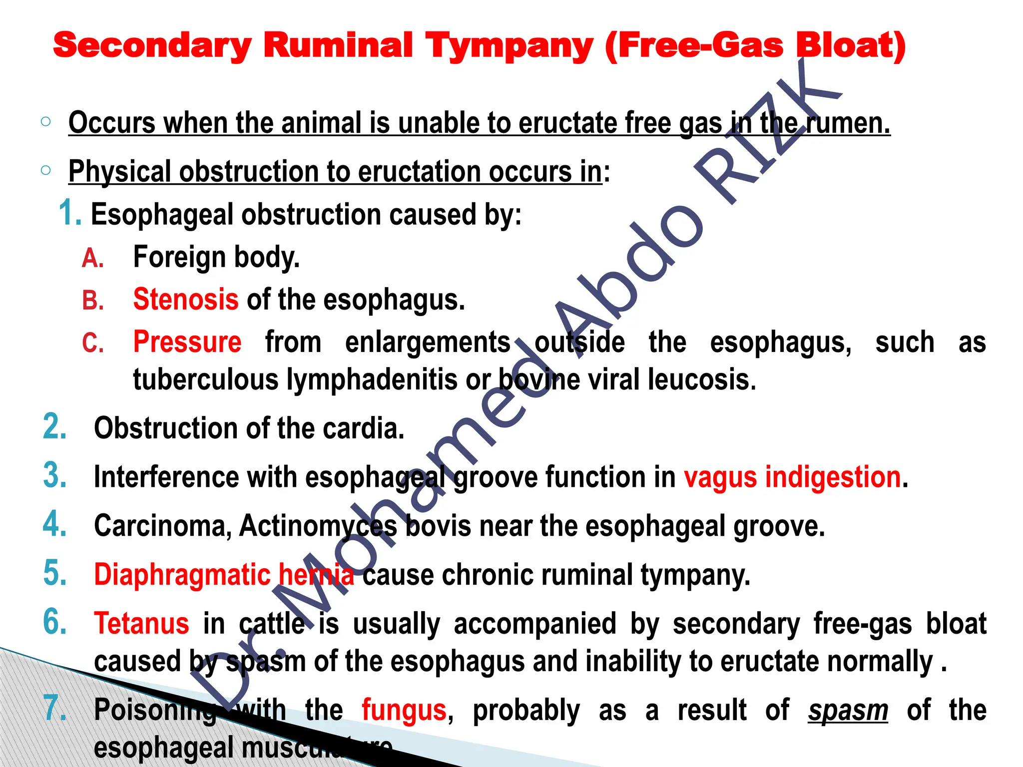 Ruminal tympany- bloat- Meteorism-Mohamed A. RIZK.pptx