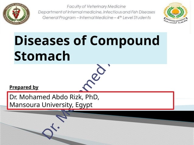 Ruminal tympany- bloat- Meteorism-Mohamed A. RIZK.pptx