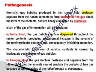 Ruminal tympany- bloat- Meteorism-Mohamed A. RIZK.pptx