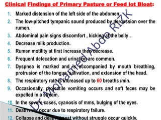 Ruminal tympany- bloat- Meteorism-Mohamed A. RIZK.pptx