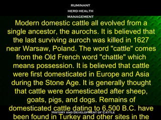 History and Development of Bovine | PPT