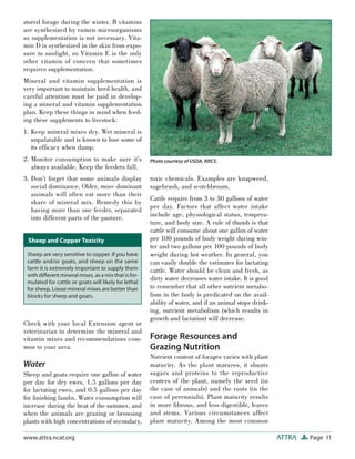 Ruminant Nutrition for Graziers | PDF