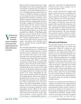 Ruminant Nutrition for Graziers | PDF