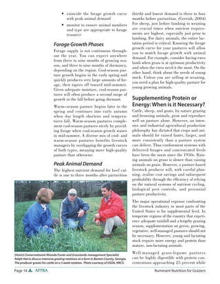 Ruminant Nutrition for Graziers | PDF