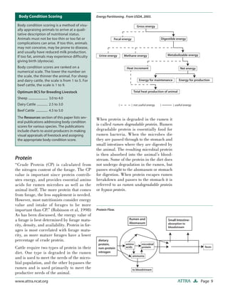 Ruminant Nutrition for Graziers | PDF