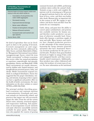 Ruminant Nutrition for Graziers | PDF