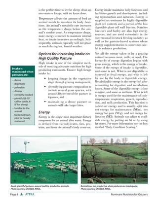 Ruminant Nutrition for Graziers | PDF