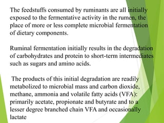ruminant animals | PPTX