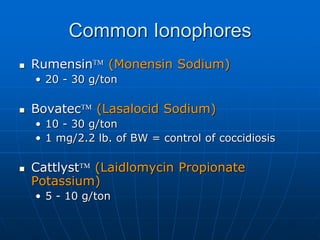 Ruminant feed additives | PDF