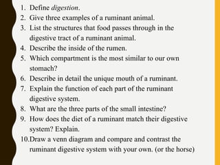 Ruminant Digestion System in Cattle, Sheep, etc. | PPTX