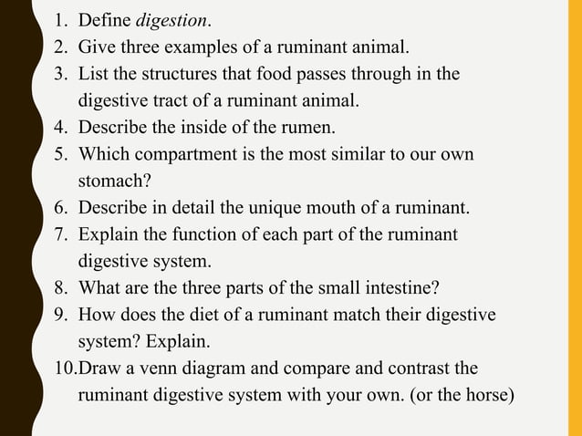 Ruminant Digestion System in Cattle, Sheep, etc. | PPTX