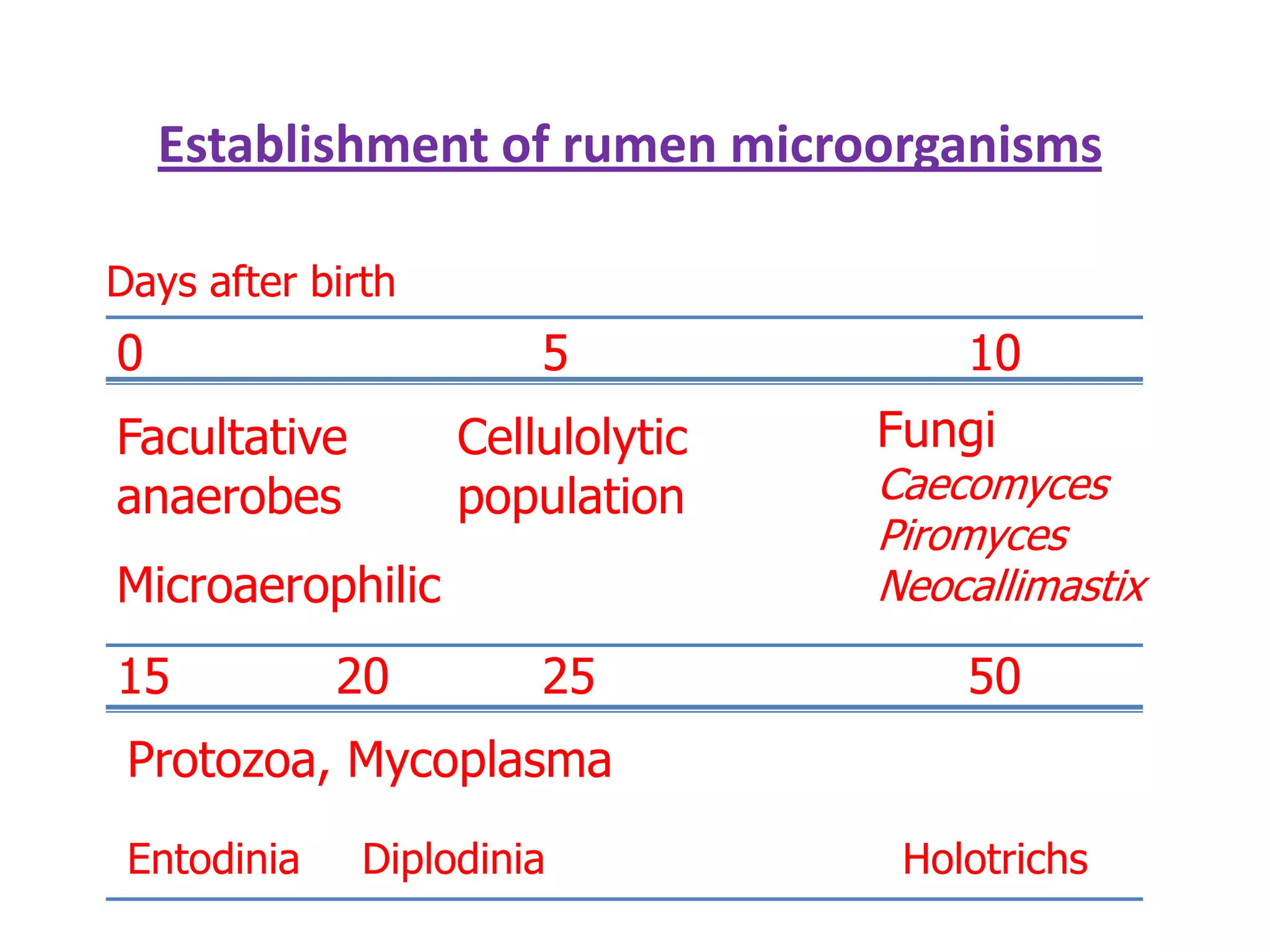 Ruminants ( Shakira sulehri) | PPTX