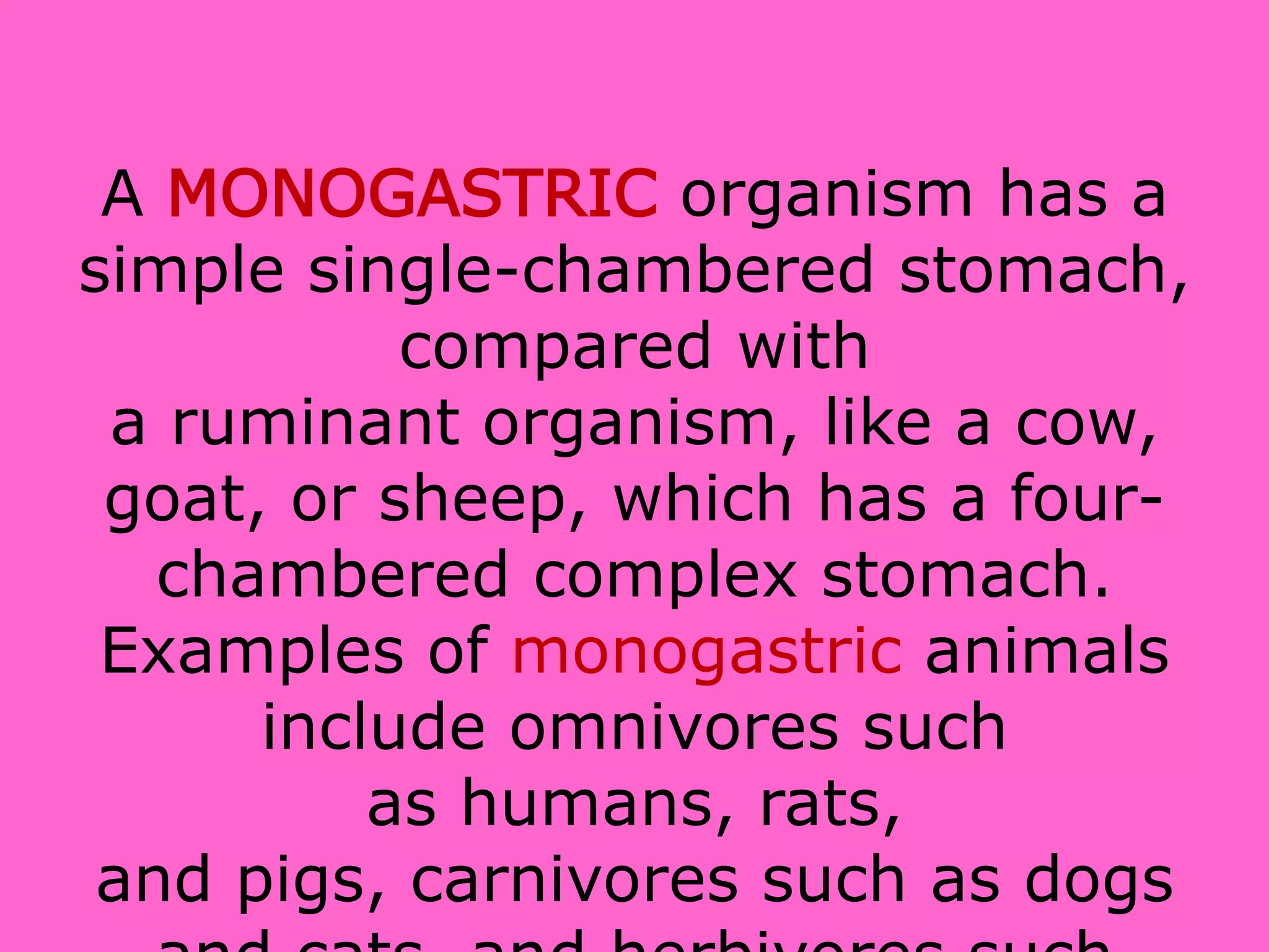 Ruminants VS Monogastrics | PPTX