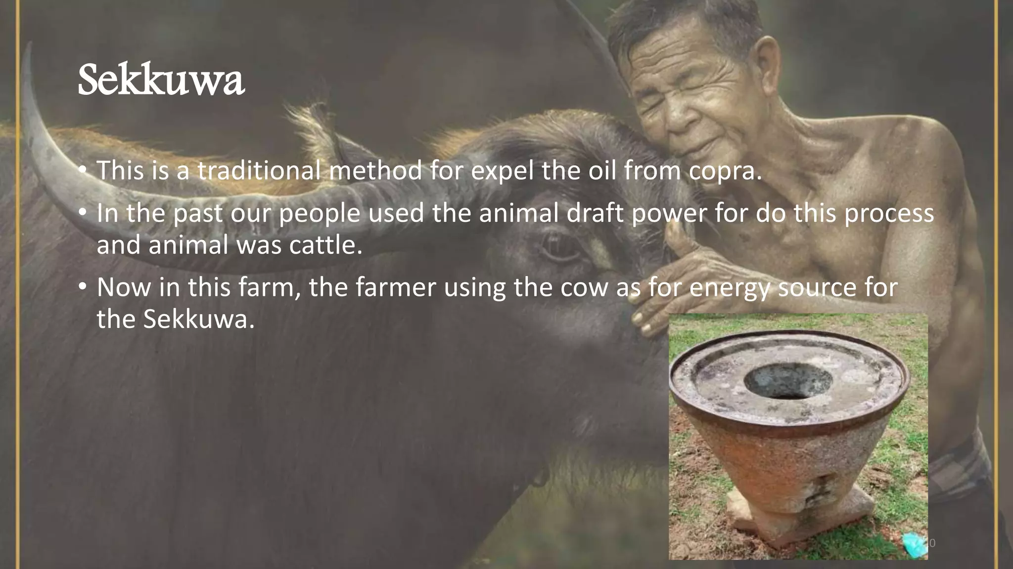 Role of ruminants in sustainable agriculture | PPTX