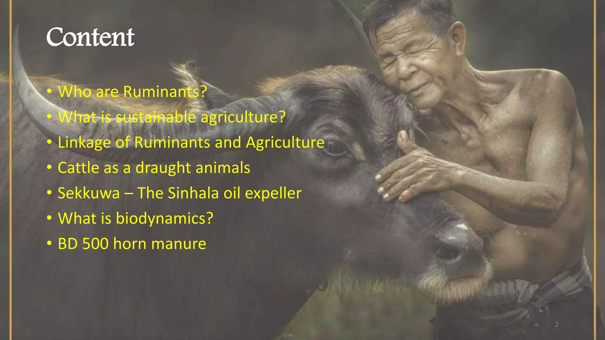 Role of ruminants in sustainable agriculture | PPTX