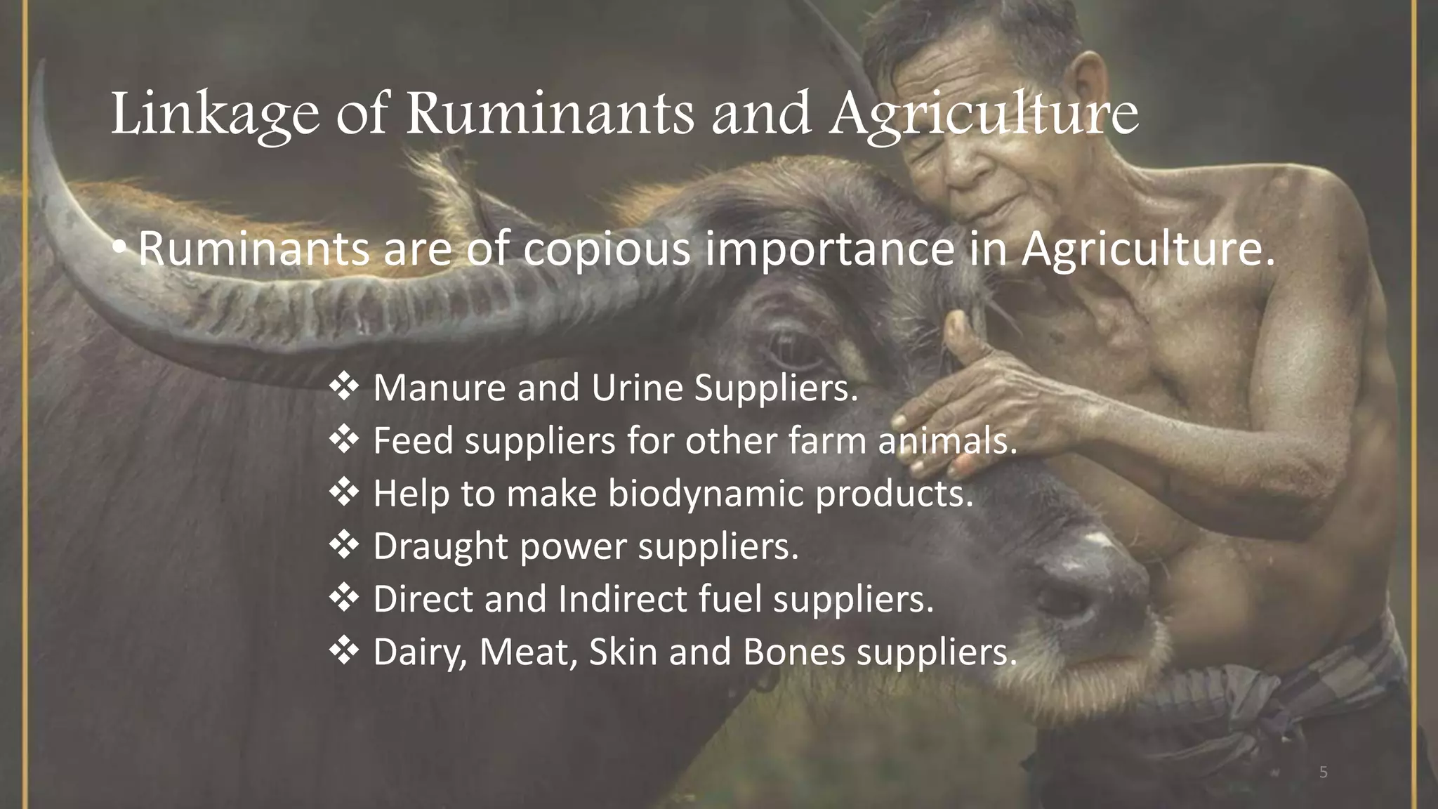 Role of ruminants in sustainable agriculture | PPTX