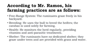 LARGE RUMINANTS MANAGEMENT AND PARACTICES ppt.pptx