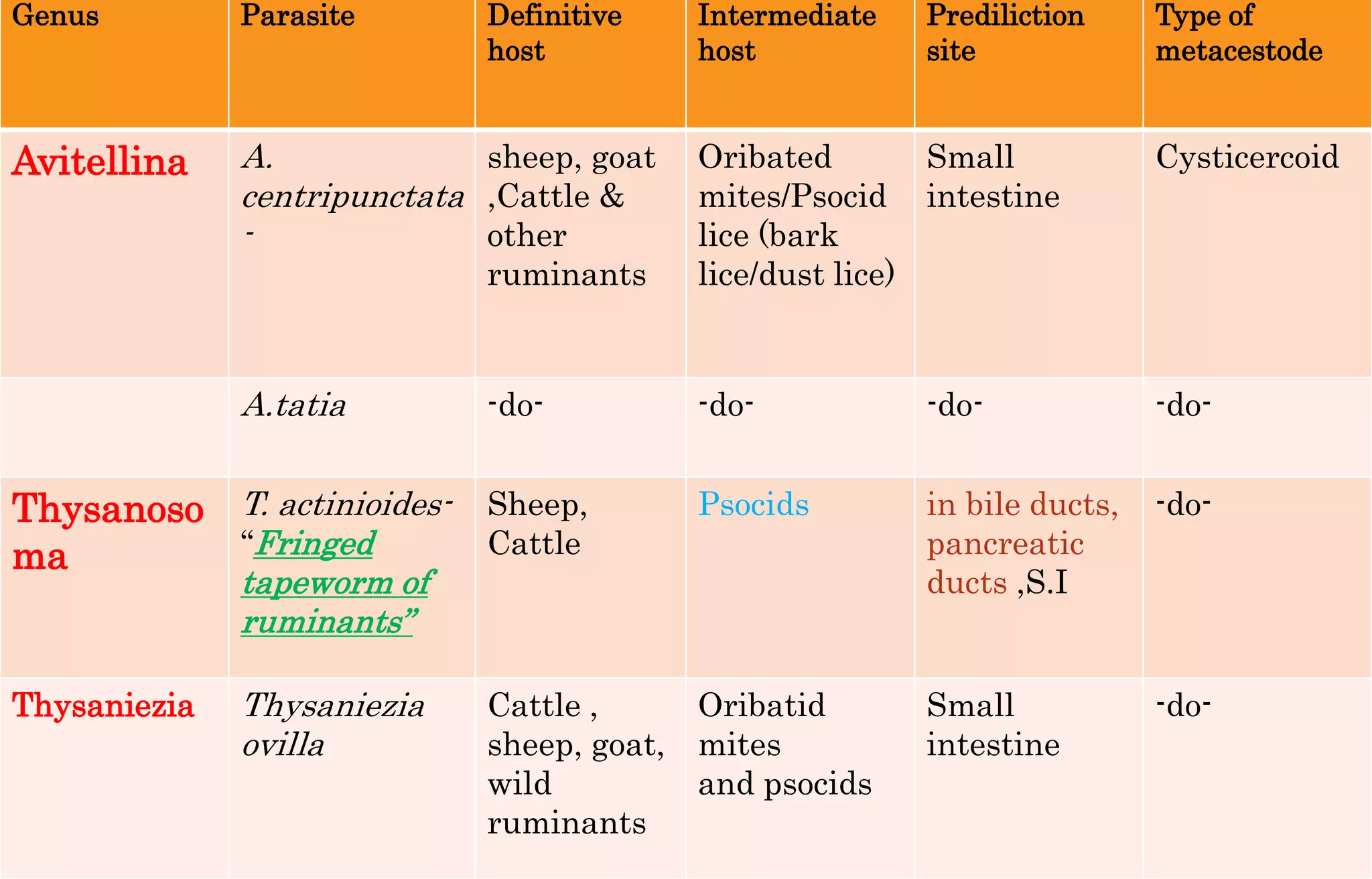 Ruminants tapeworm.pptx