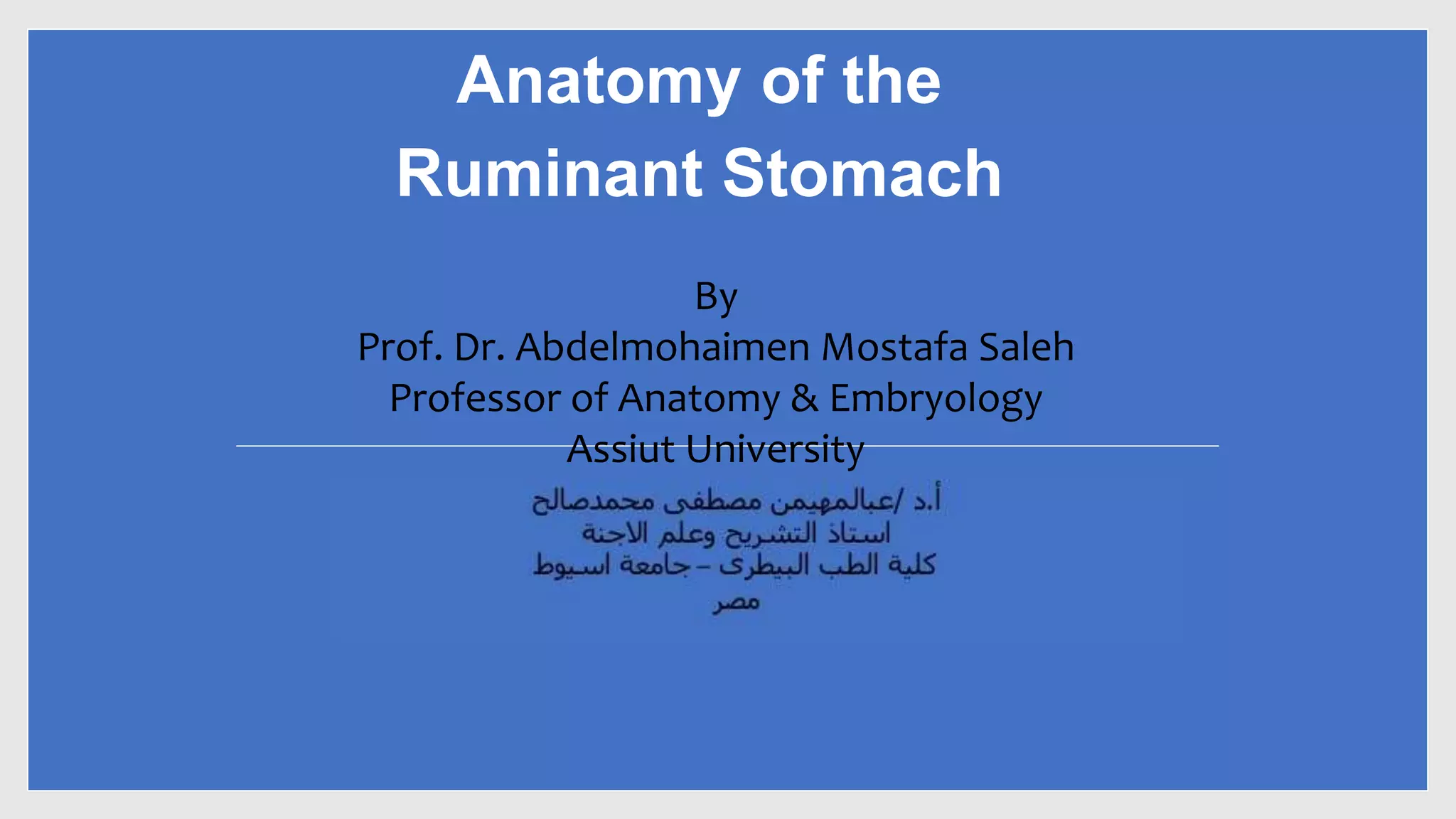 Anatomy of the Ruminant Stomach | PPTX