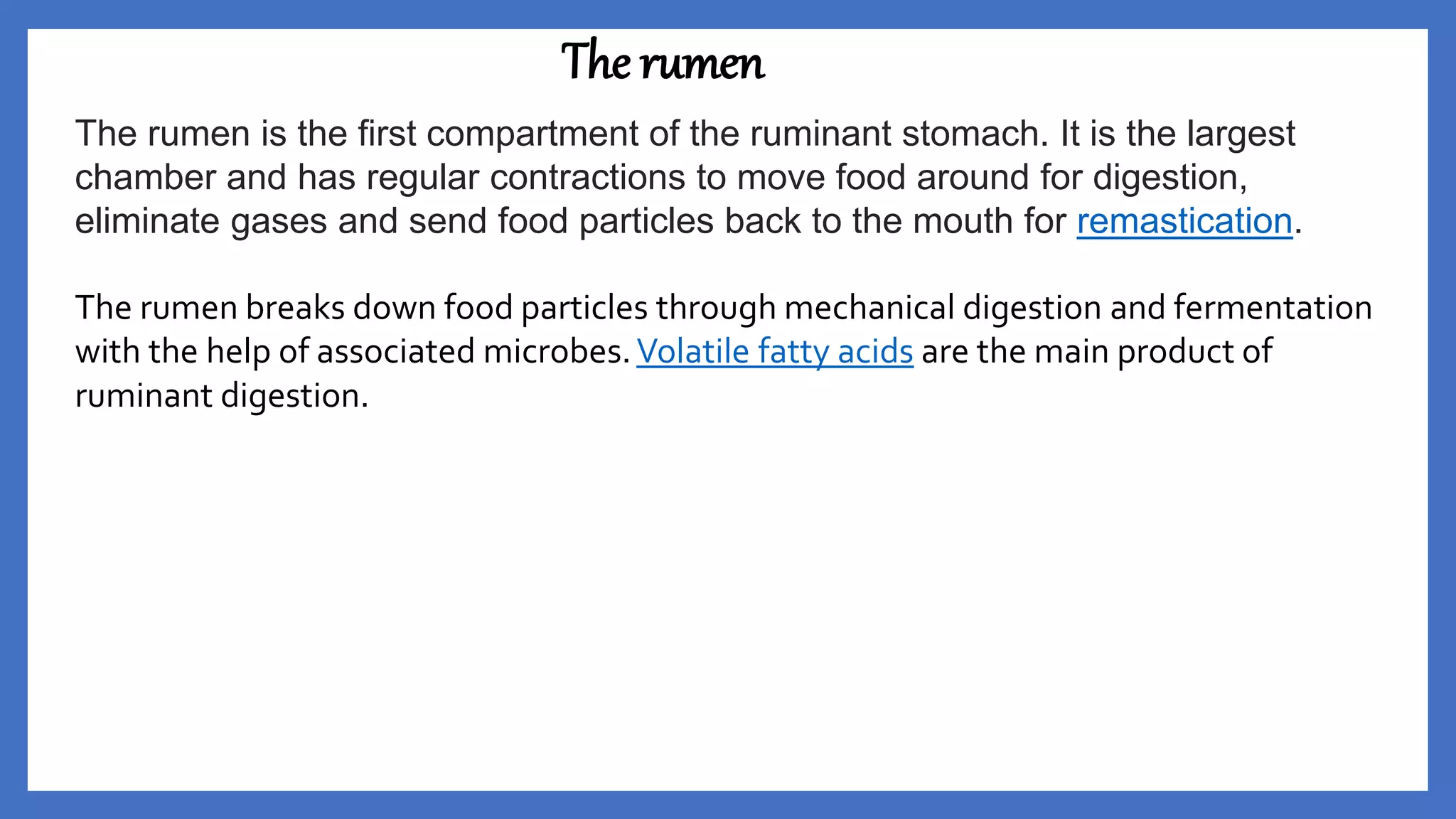 Anatomy of the Ruminant Stomach | PPTX