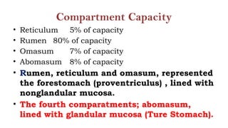 functional anatomy of digestive system of ruminants.pptx