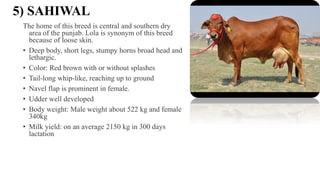 Breed of cattle common in Nepal | PPTX