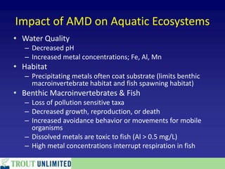 Shawn Rummel, Trout Unlimited, "Recovery of Coldwater Ecosystems ...