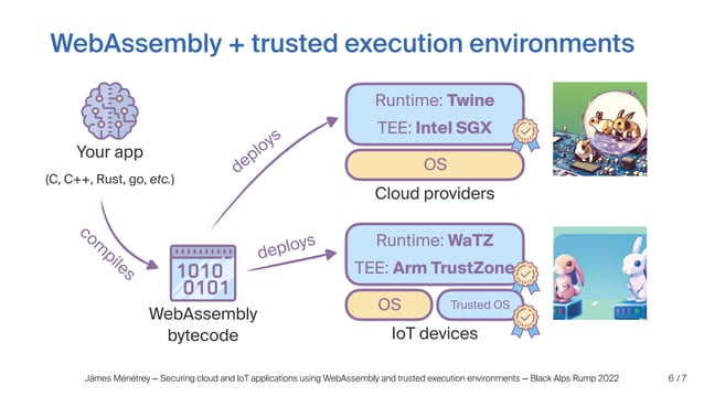 Securing Cloud And Iot Applications Using Webassembly And Trusted