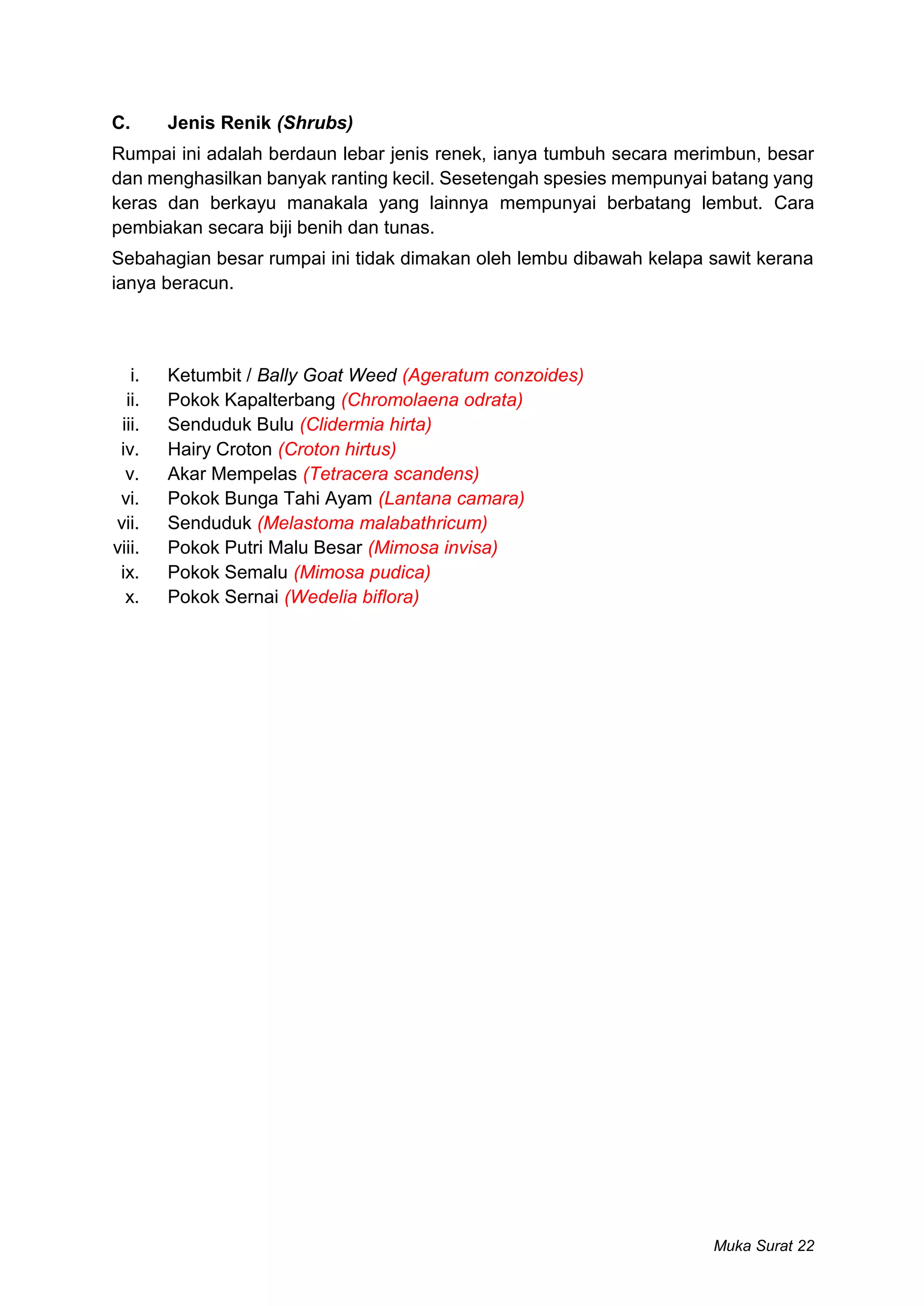 Rumpai di Bawah Kelapa Sawit | PDF