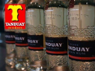 RUM PPT.pdf