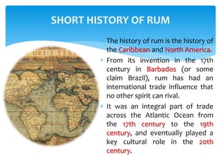 RUM PPT.pdf