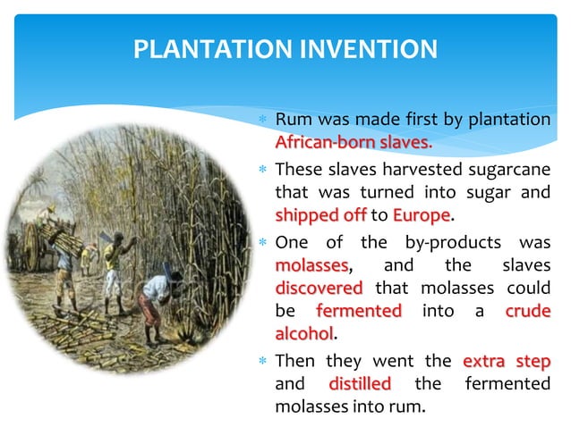 RUM PPT.pdf