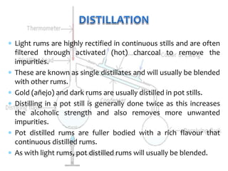 RUM PPT.pdf