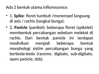 manajemen tanaman rumput pakan untuk ternak | PPT