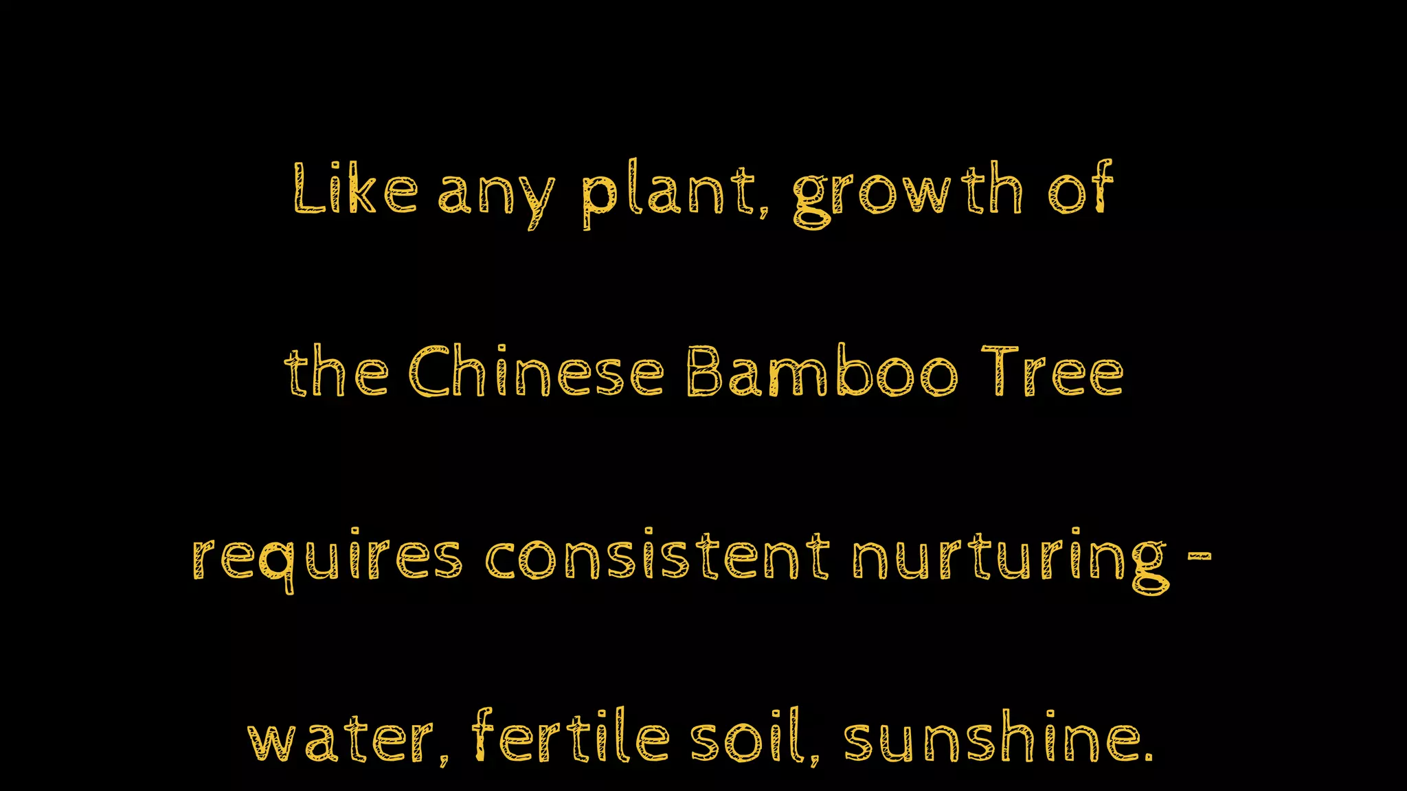 The Bamboo Analogy | PPTX