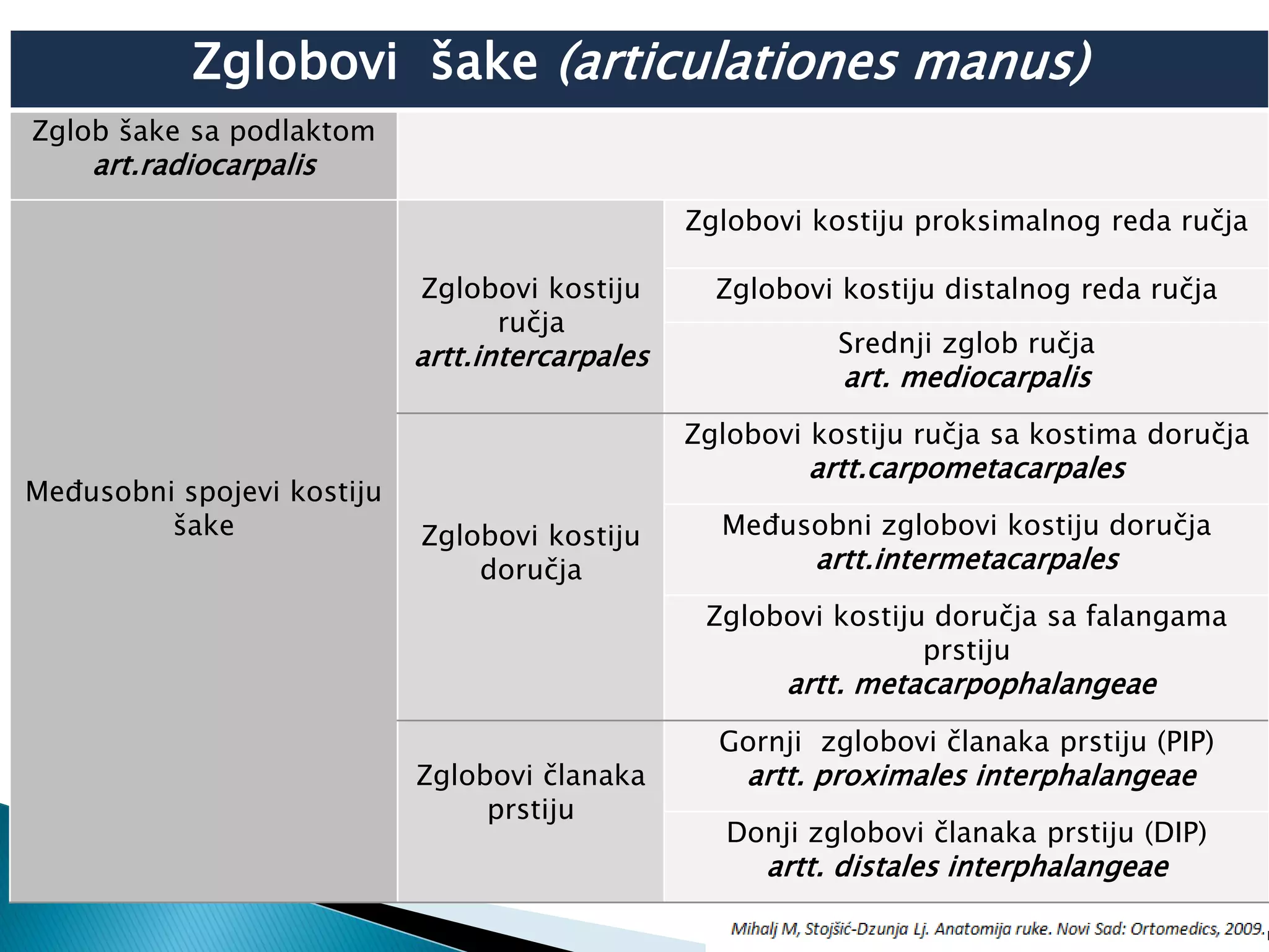 Wrist & hand, Ručni zglob i šaka | PDF