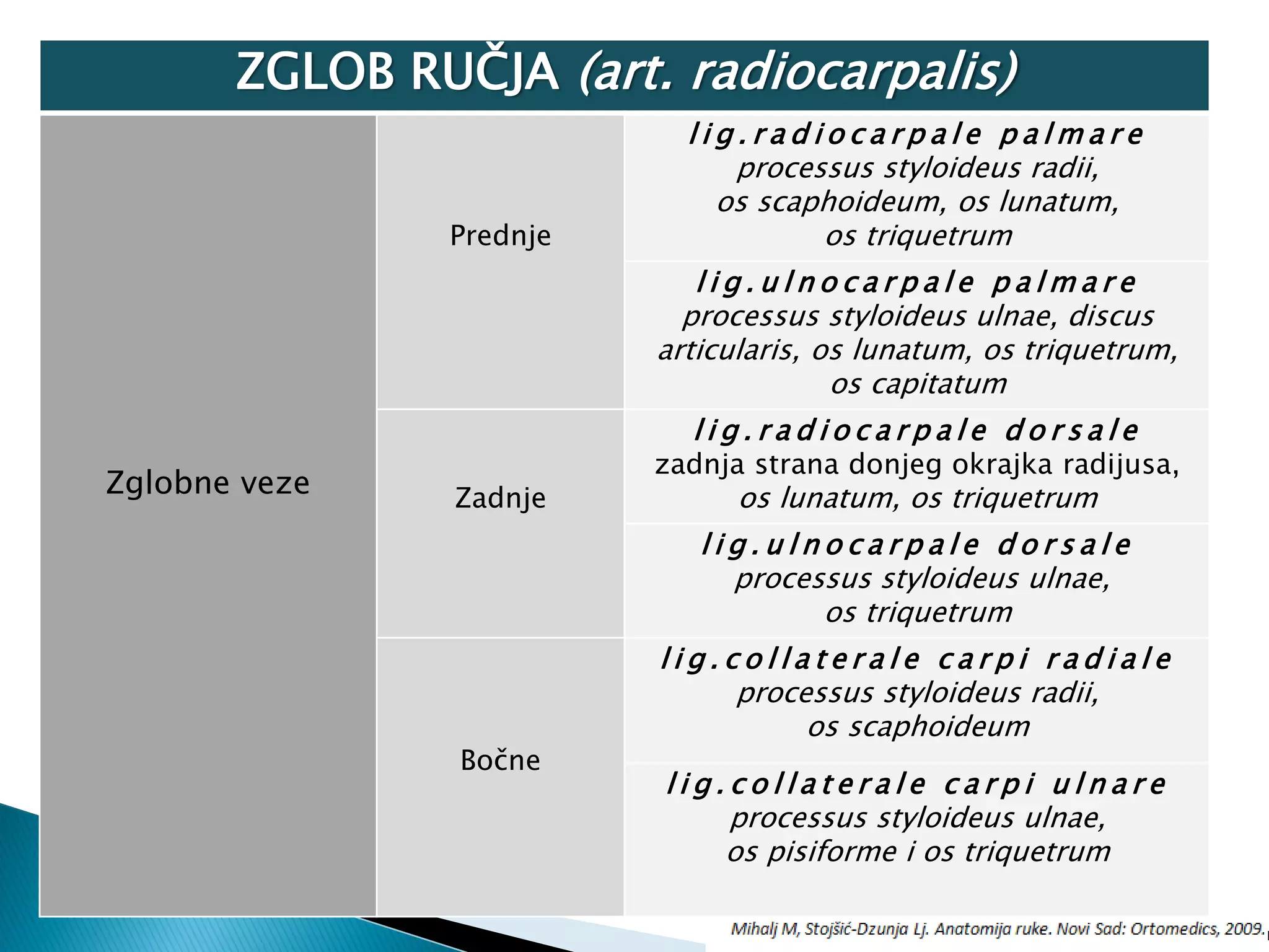 Wrist & hand, Ručni zglob i šaka | PDF