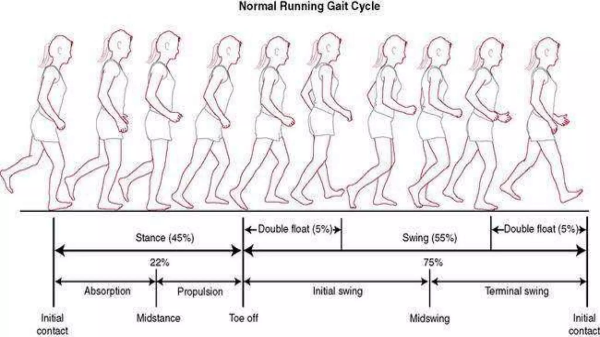 RUNNING gait.pptx
