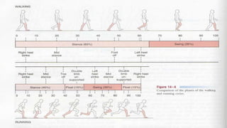 RUNNING gait.pptx