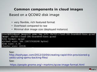 Running an openstack instance | PDF