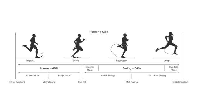 Running biomechanics | PPTX | Death, Injury, or Military Conflict ...