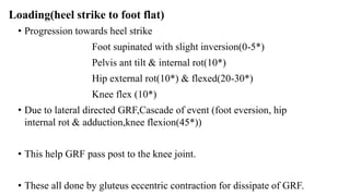 Running biomechanics | PPTX