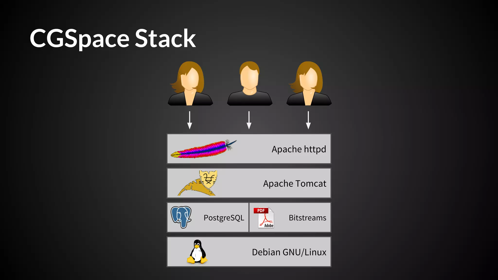 Running DSpace: Technical overview, lessons learned, workflows and essential skills | PDF
