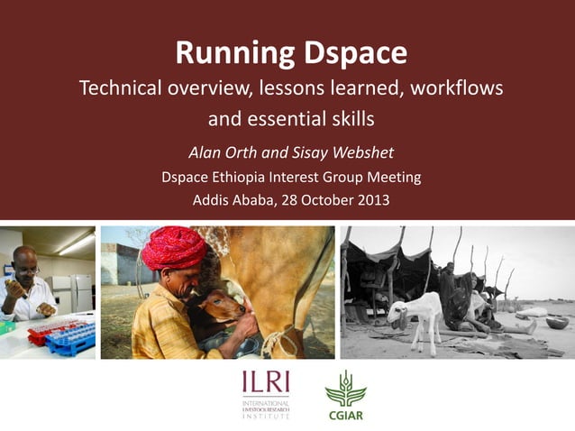 Running DSpace: Technical overview, lessons learned, workflows and ...