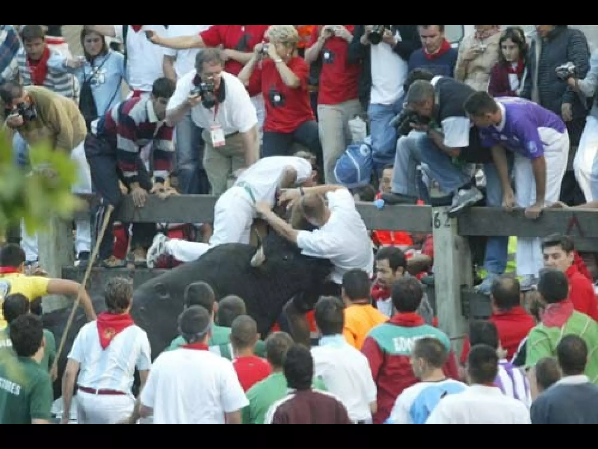 Running Of The Bulls - Pamplona, Spain | PPS