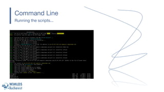 Running R on AWS Lambda by Ana-Maria Niculescu | PPT