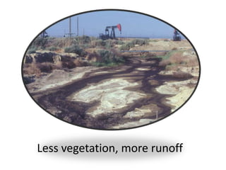 Runoff Project | PPTX