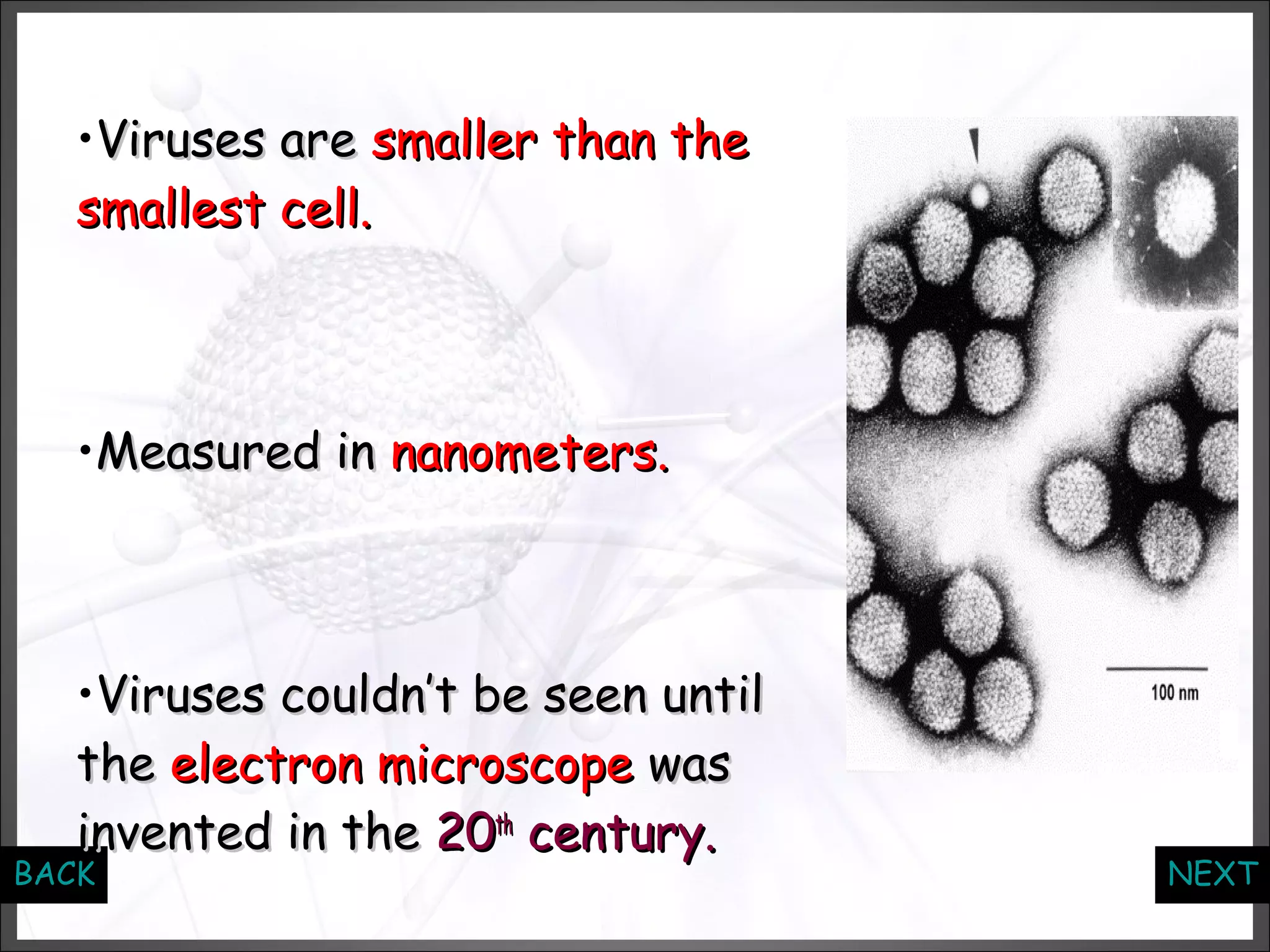 viruses | PPT