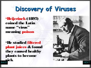 viruses | PPT