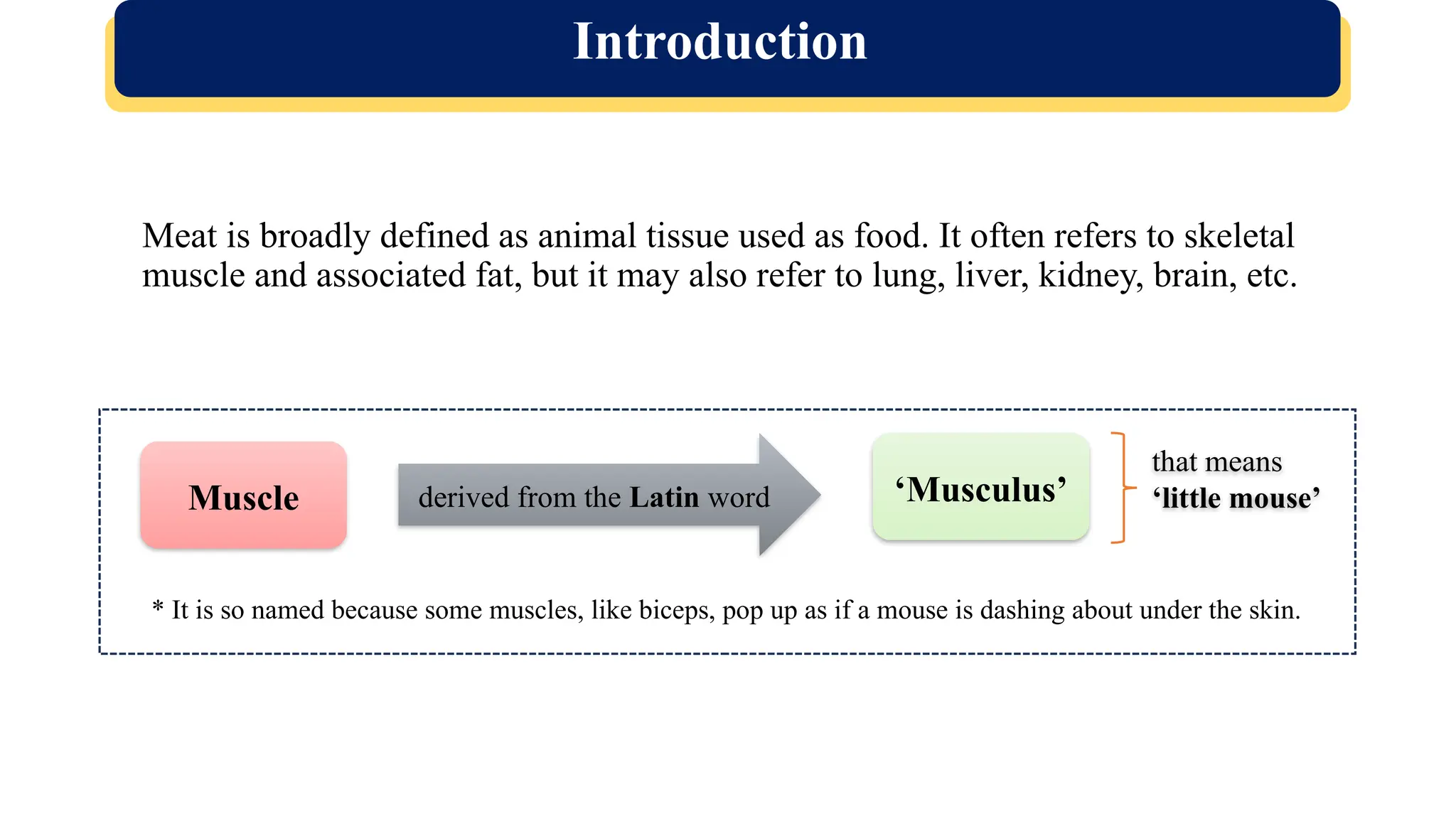 Microstructure of muscle and its role in meat tenderness | PPTX